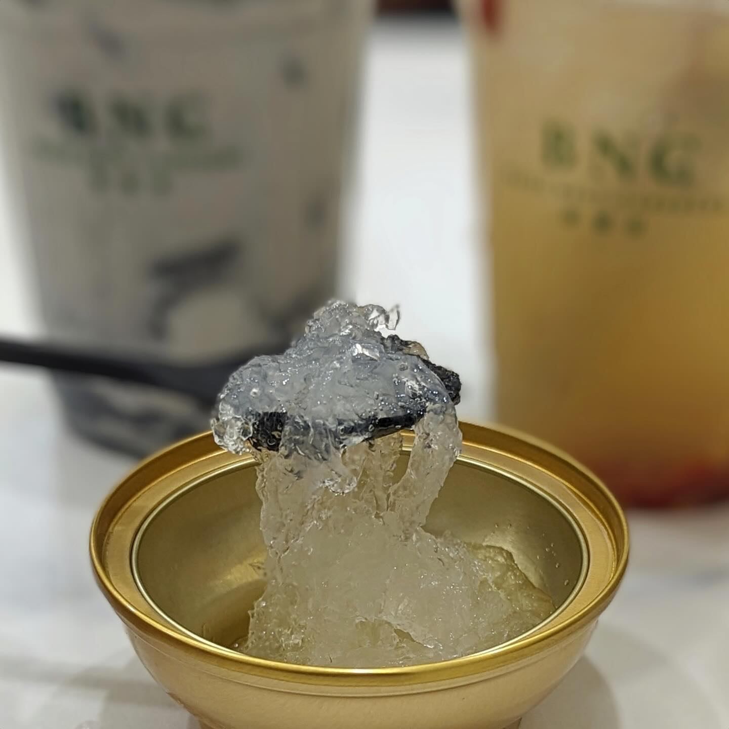 Bird Nest Singapore Delicacy: Discover the Finest Edible Swiftlet