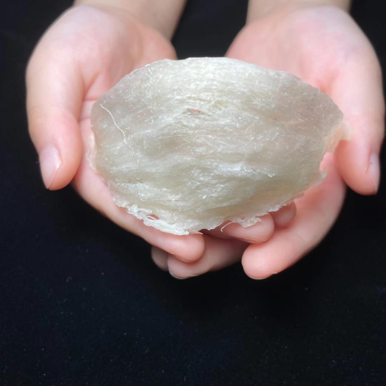 How to Prepare Fish Maw: A Step-by-Step Guide for First-Timers ...